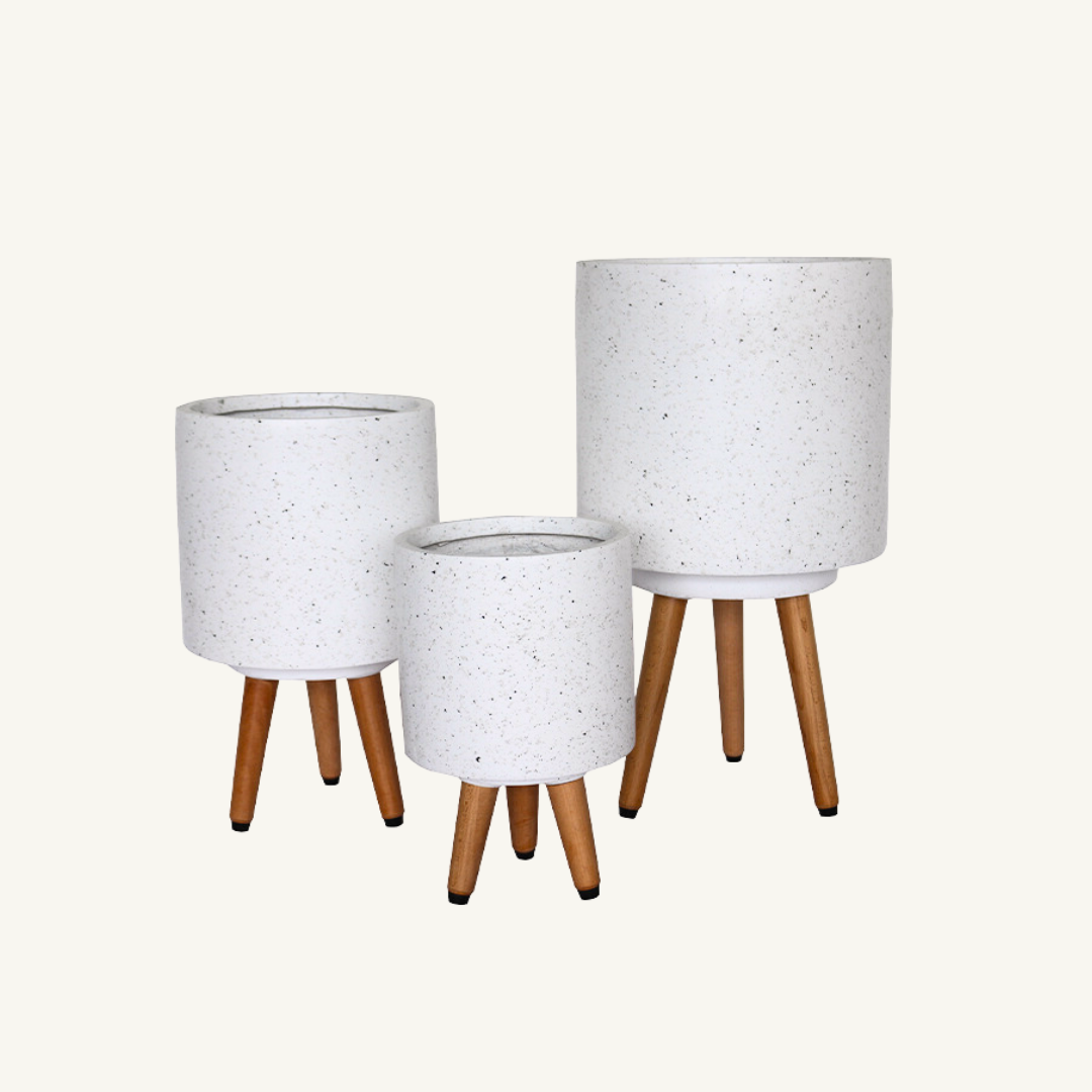 Asher Tripod Plant Stand – Stylish White Terrazzo Display | Green Envy – Green Envy Indoor Plants