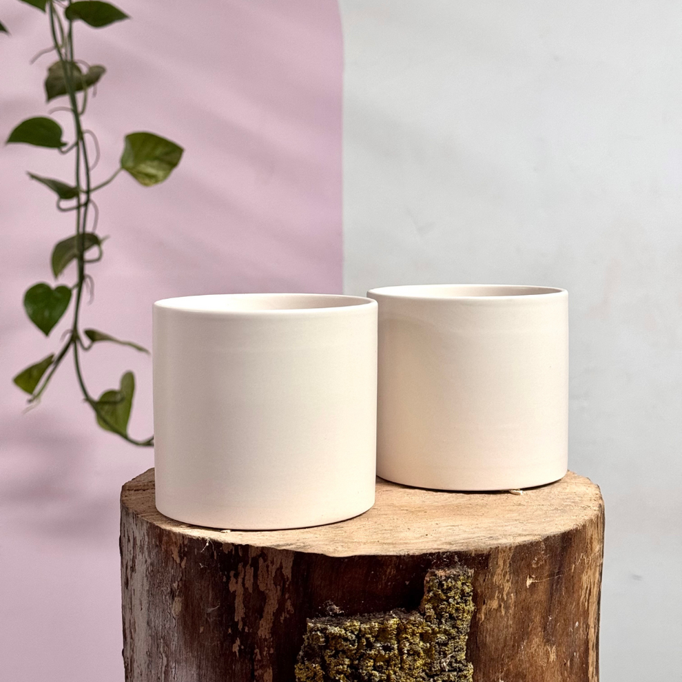 Ceramic Cylindrical Pot – 13cm White Planter for Indoor Plants | Green ...
