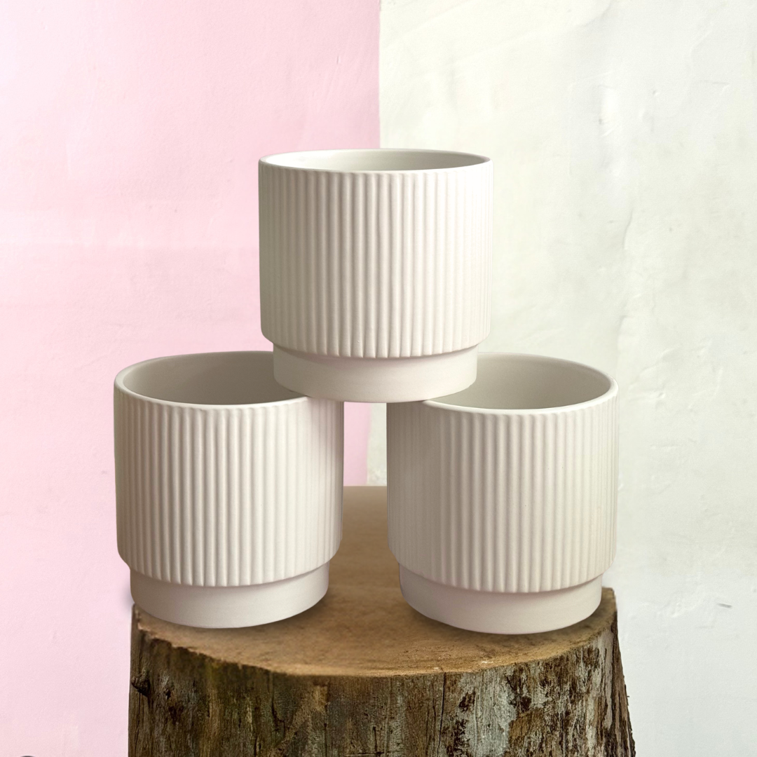 Matte White Vertical Line Ceramic Pot – Ceramic Planter – Green Envy ...